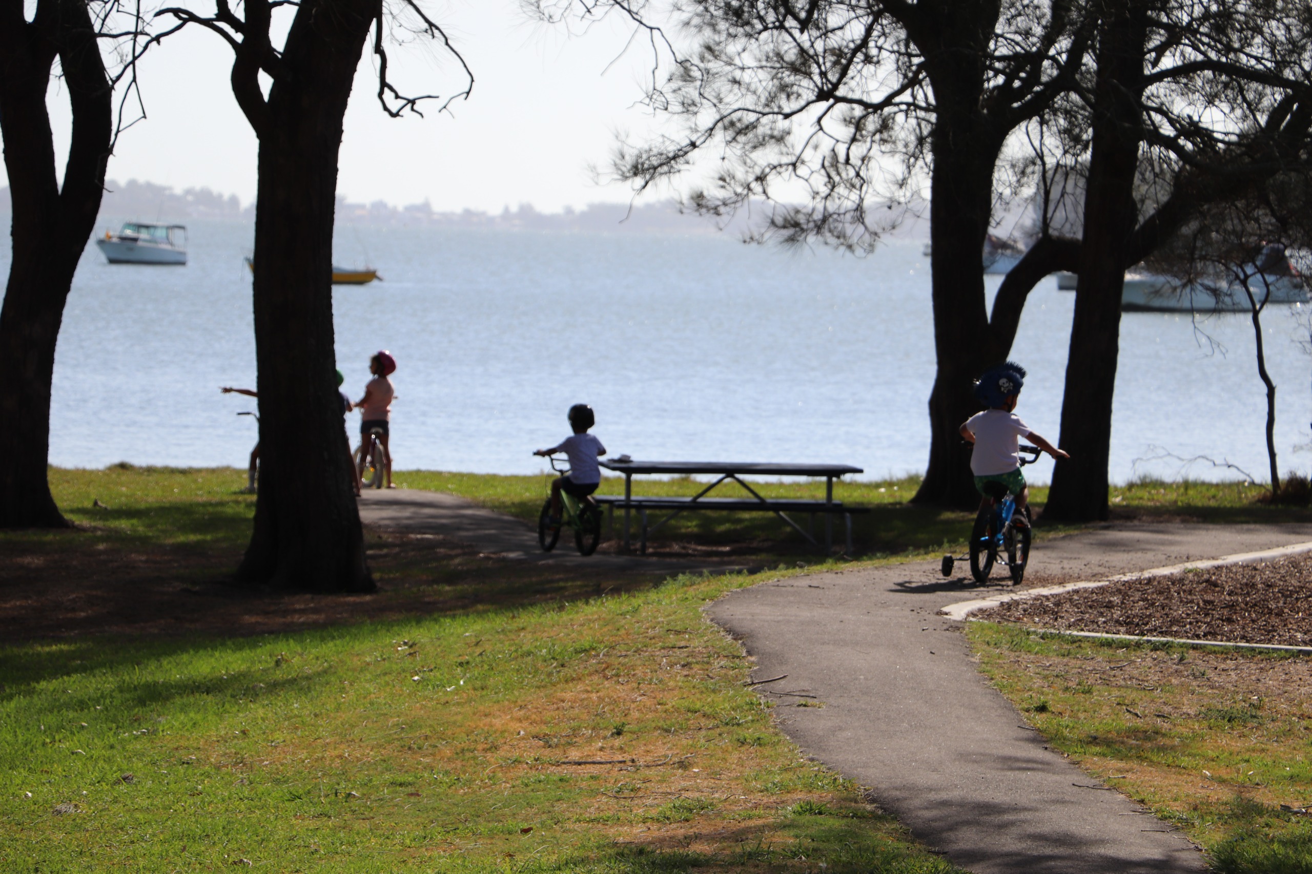 Tanilba Bay park amenities replacement | Projects & Works | Have Your ...